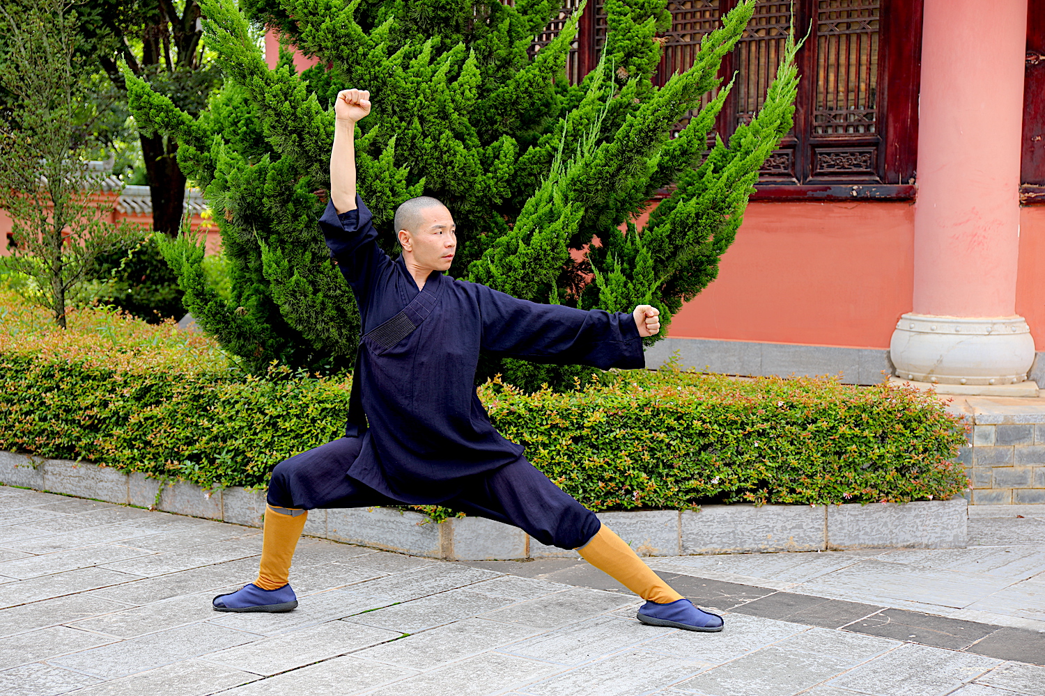 Da Shi Stance - Effects of the Forces on the Body Balance ...
