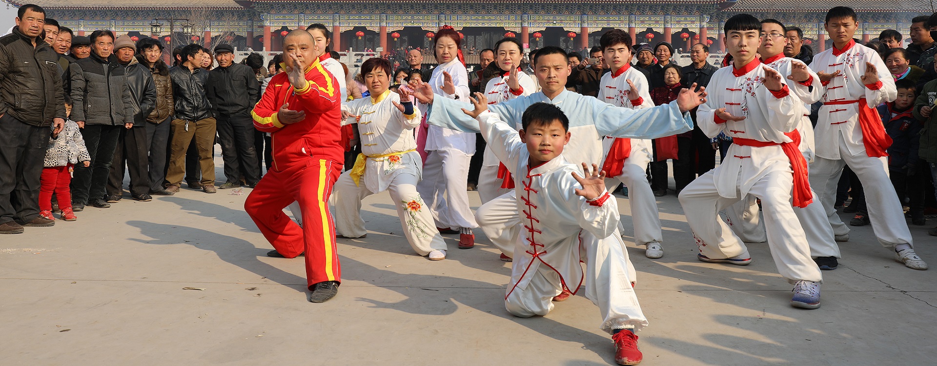 Benefits of Practicing Meihua Quan Kung Fu | International Meihua Quan ...